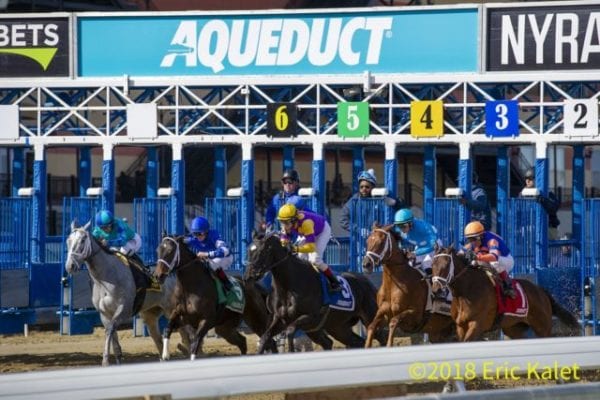 Aqueduct (USA) Racecards Horse Racing Tips | BettingTips4you
