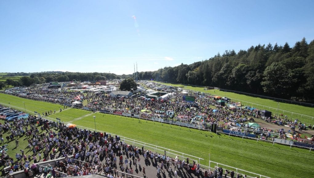 Fairyhouse Racecourse Betting Tips: Today’s Best Predictions & Expert ...