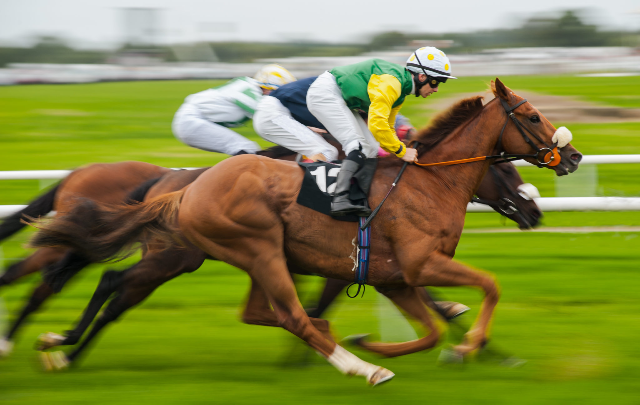 Today's Horse Racing Tips: Daily NAPs & UK Course Guides